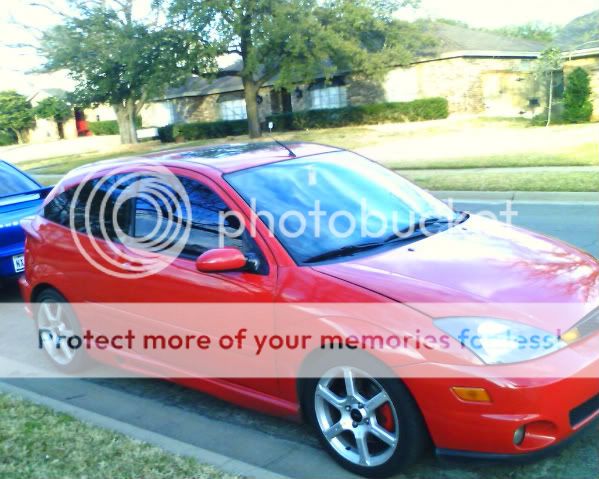 custom svt color | Focus Fanatics Forum