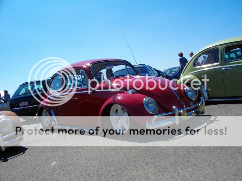 VWVortex.com - would like to see some slammed aircooleds