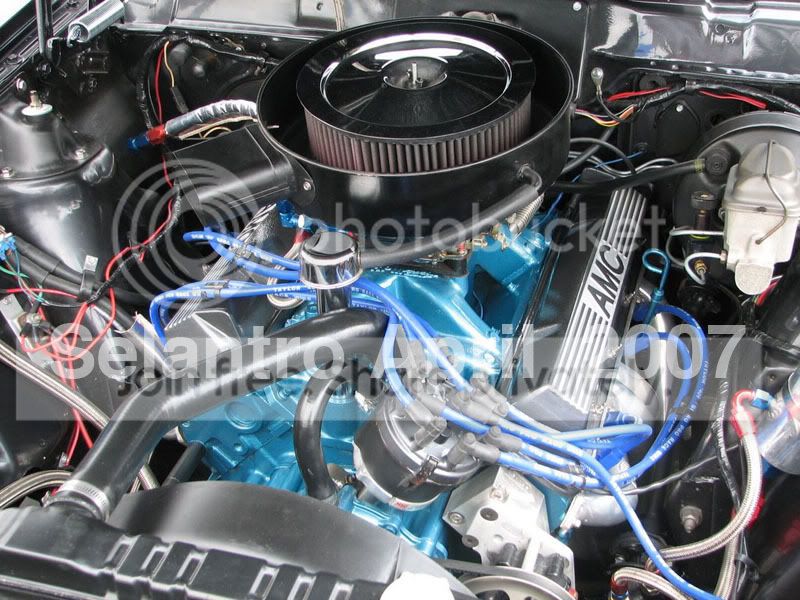 Blue poly and Caravelle blue - The AMC Forum - Page 2