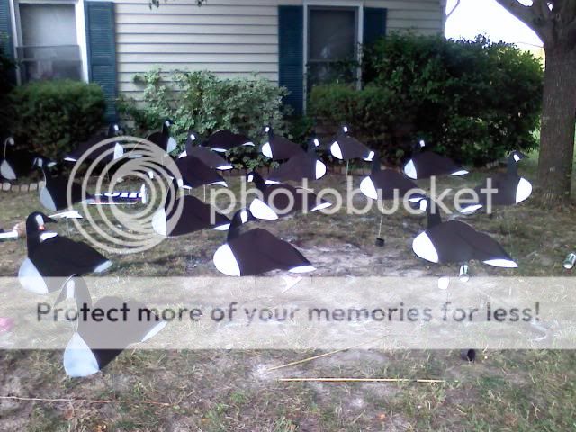 Making Goose Silhouette Goose Silhouette In The Country High Res