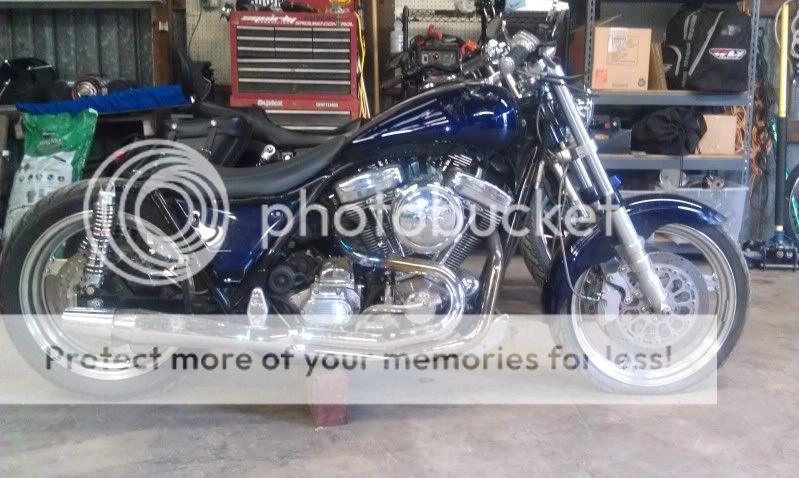 FXR or FXDX | V-Twin Forum