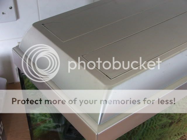 NE England - 35 Litre Fish tank | Reptile Forums